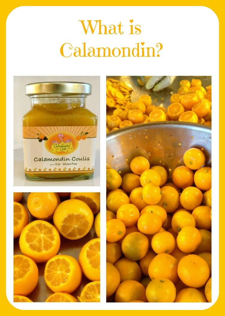 Calamondin Juice Locally Blended Juice Drink Calamansi | 240ml | Juices ...